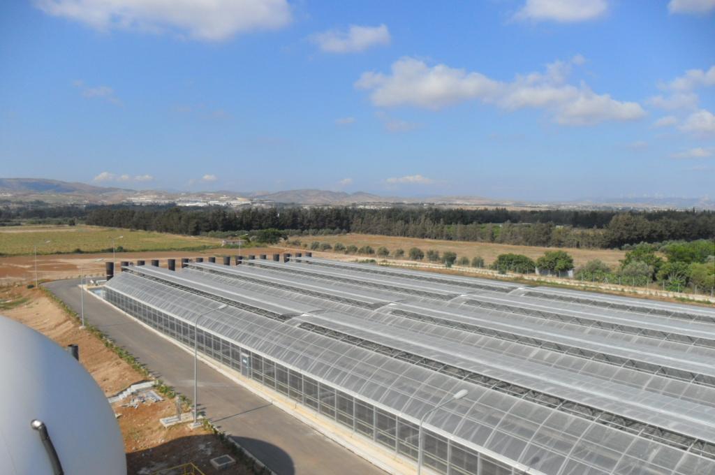 PAPHOS SLUDGE SOLAR DRYING PLANT